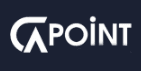 Buy CA POINT online video lectures and pendrive classes